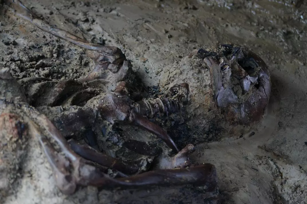 A shot of the skeleton's head, still half-buried at this stage