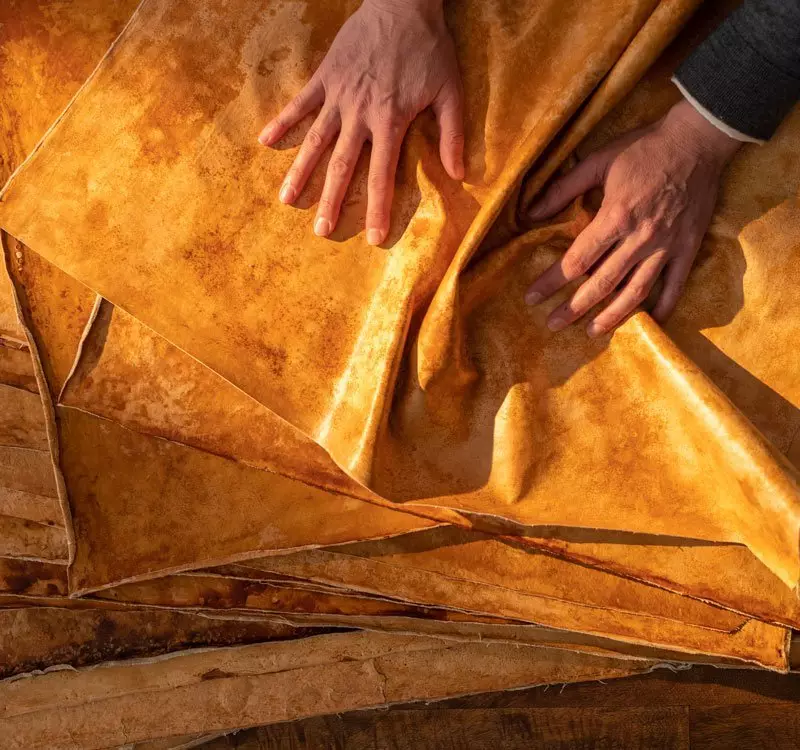 تصویری از دست انسان که چرم ساخته شده از قارچ را به نمایش می گذارد