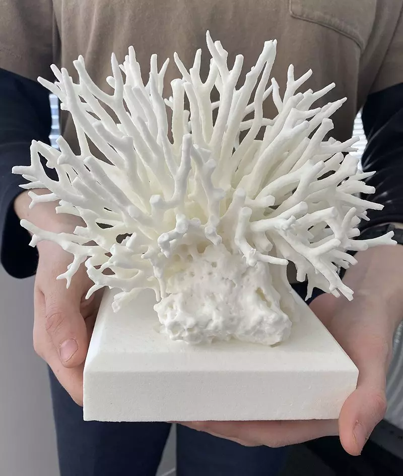 Koral 3-D print