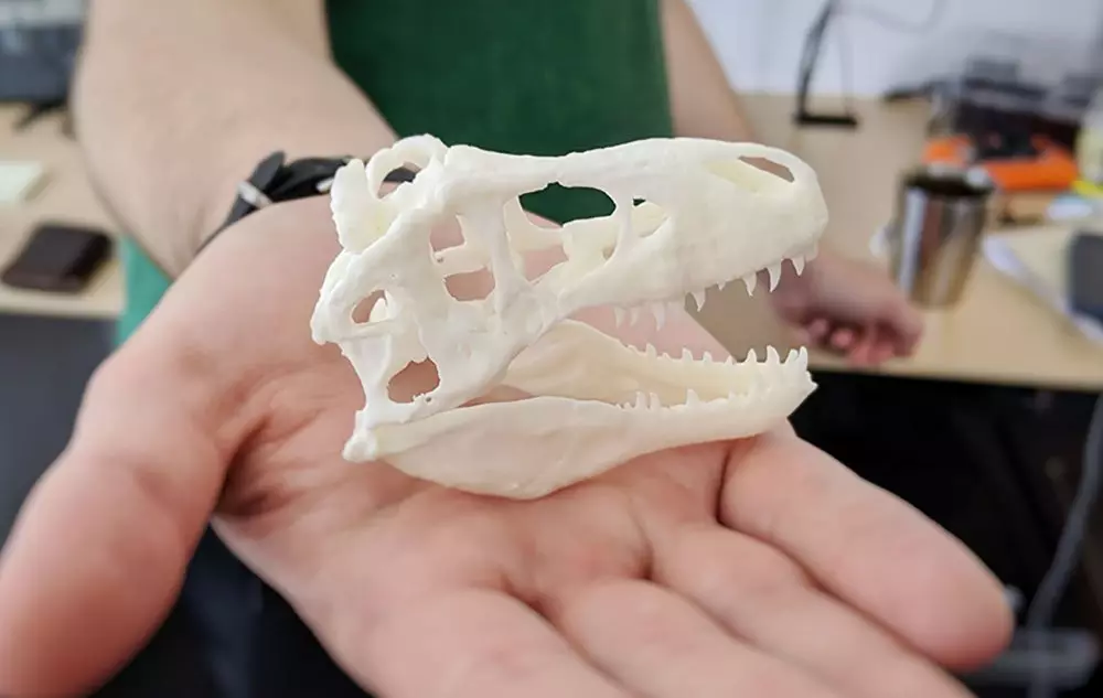 Cráneo 3-D de T. rex