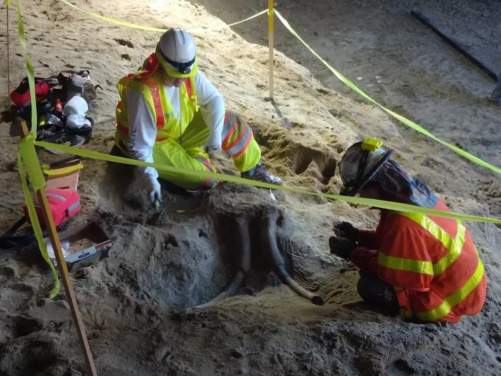 Bauaarbechter Entdeckt antike Elefant Schanken ënner L.A. Subway