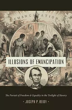 Pregledajte sličicu za 'Iluzije emancipacije: Težnja za slobodom i jednakošću u sumraku ropstva