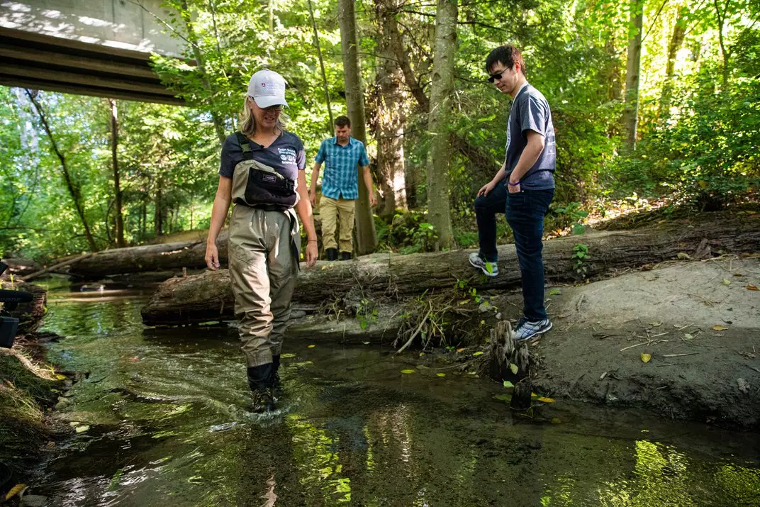 Forskare som vadar genom Longfellow Creek