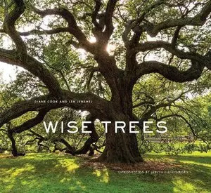 Buka kuqala isithonjana se-'Wise Trees