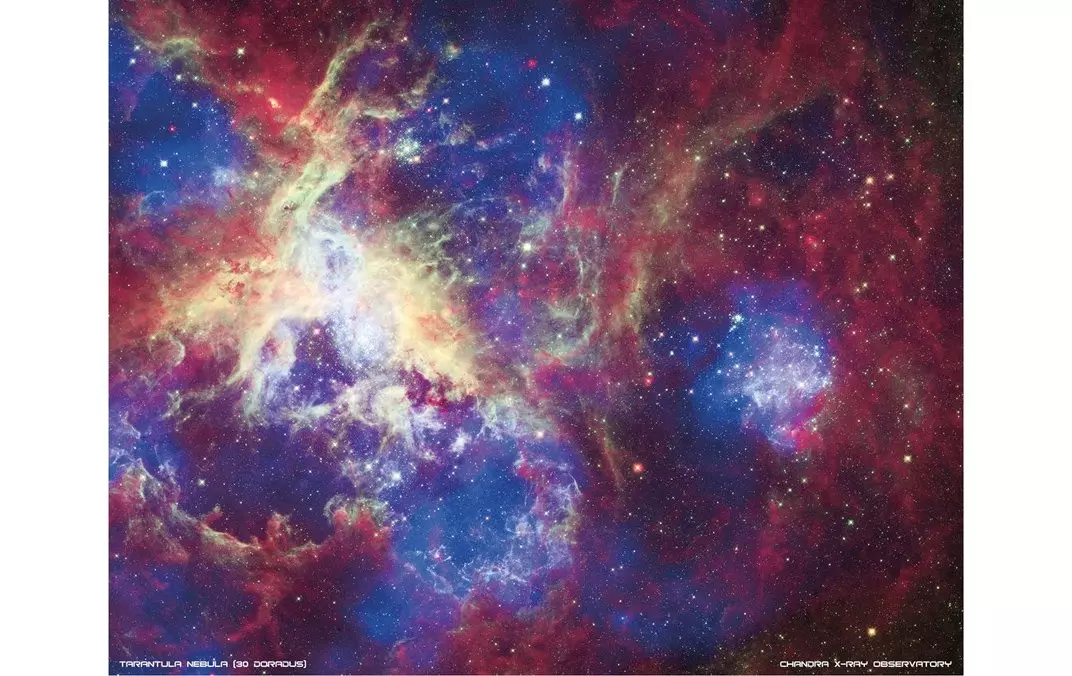 Tarantual Nebula