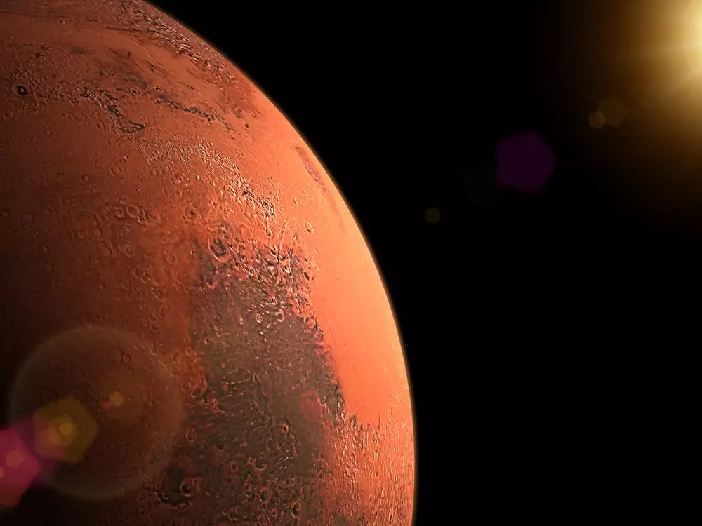 Erdwurms plant vir die eerste keer in Faux Mars-grond voort