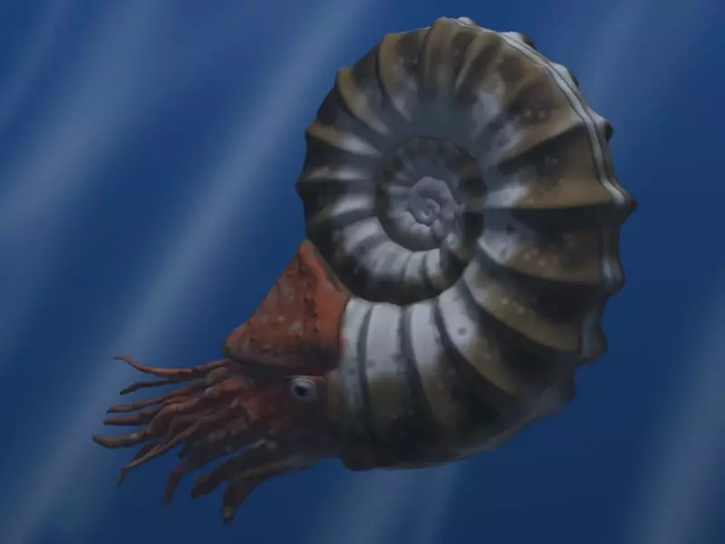 Videospill-inspirerte modeller demonstrerer hvordan forhistoriske blekksprutslektninger svømte gjennom havet