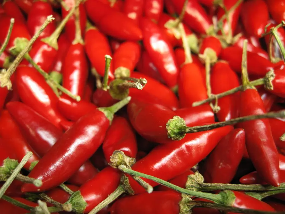 2400 年前，墨西哥人用辣椒制作辣味饮料