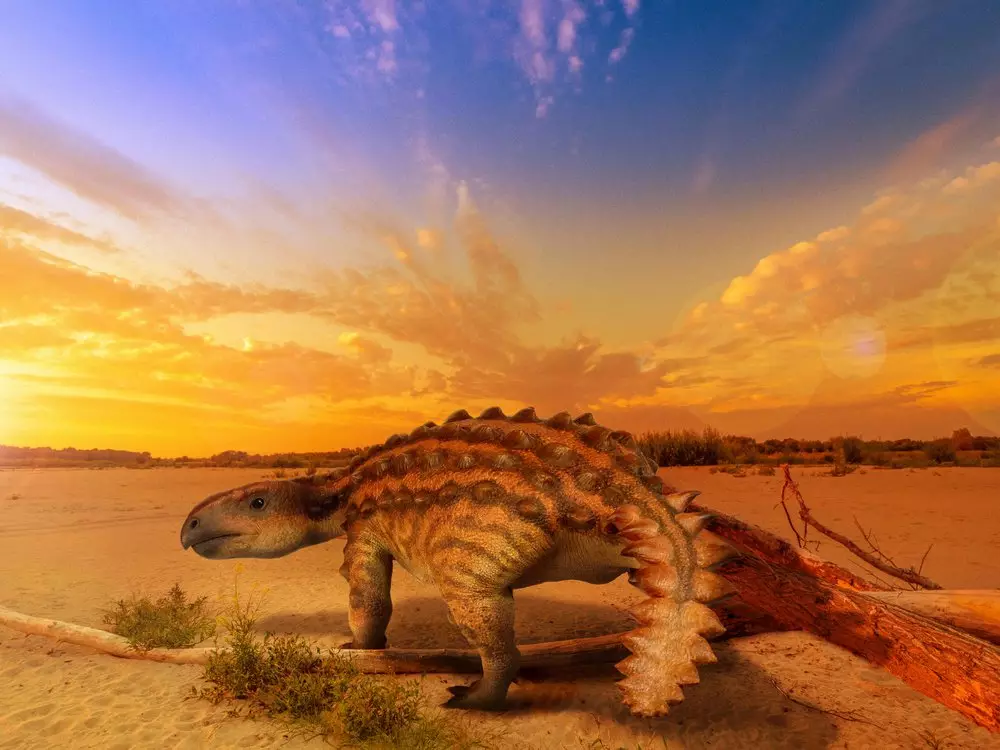Чилигээс олдсон анкилозаврын шинэ зүйл хавтгай, зэвсэгтэй төстэй сүүлтэй байжээ.