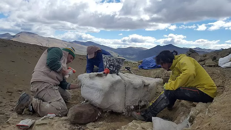 Фото команди палеонтологів, які розкопують велику кістку динозавра в Чилі.