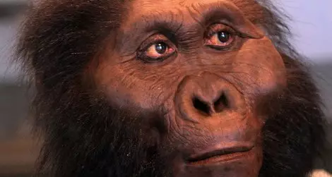 การค้นพบวิวัฒนาการของมนุษย์เจ็ดอันดับแรกจากแทนซาเนีย