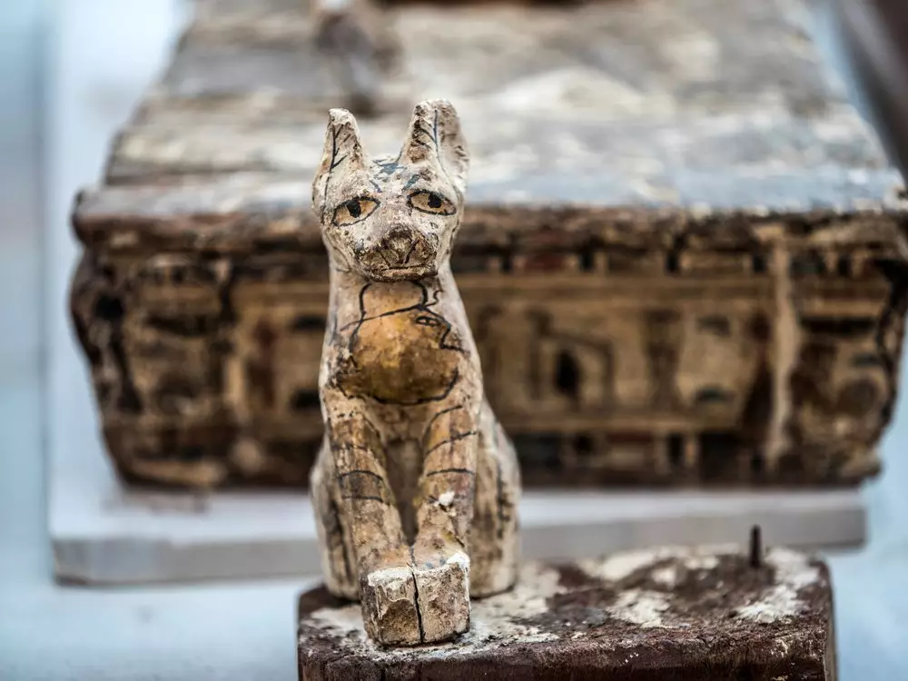 ארכיאולוגים חושפים גורי אריות חנוטים נדירים שנחשפו במצרים