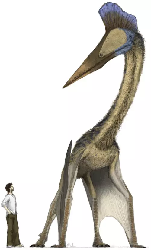 Quan els pterosaures van perseguir la Terra