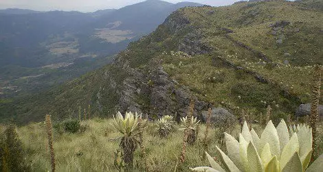 안데스 산맥의 이 지점은 지구상에서 가장 빠르게 진화하는 장소일 수 있습니다