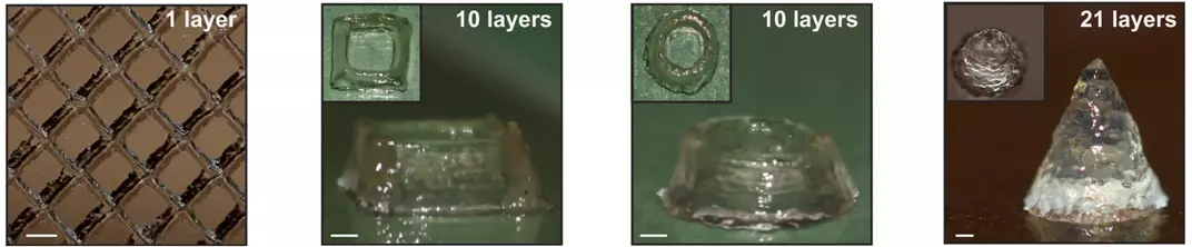 O grilă, un cub, un inel și un con realizate cu cerneală microbiană E. coli