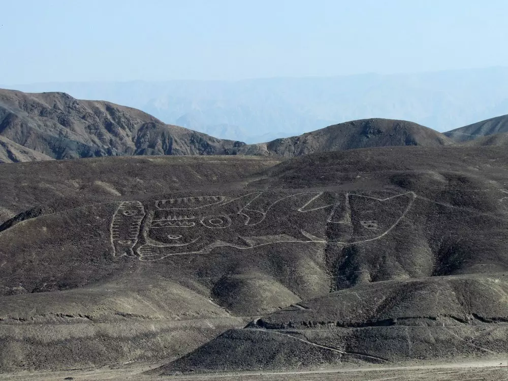 Gammel Orca Geoglyf gjenoppdaget i Peru