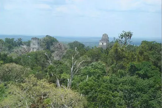 လျှပ်တစ်ပြက်- Tikal