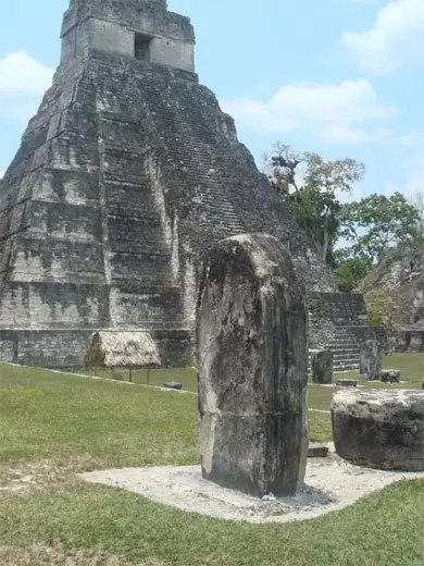 Сурати акс: Tikal 10559_4