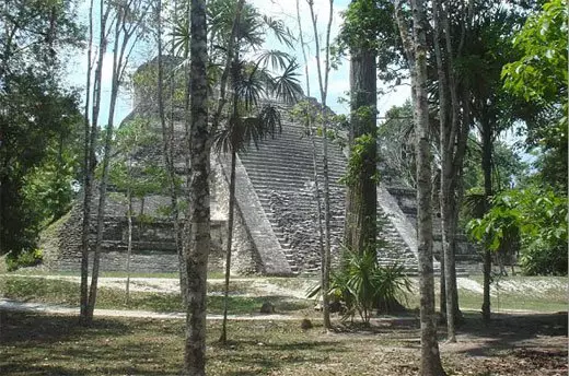 Pilt: Tikal 10559_7