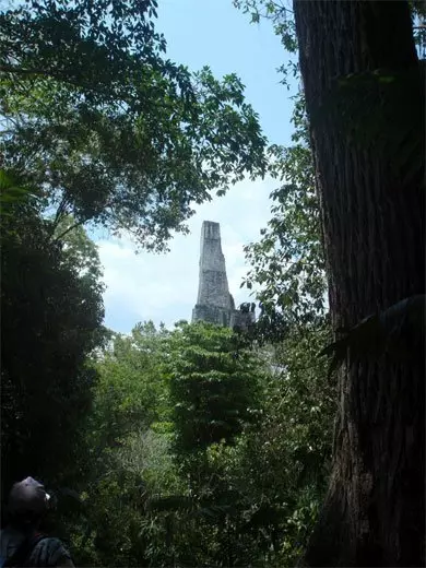 Posnetek: Tikal 10559_8