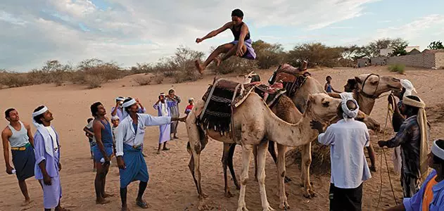 Спортът на скачане на камили