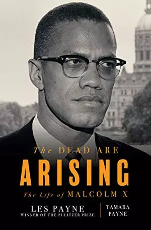 A „The Dead Are Rising: The Life of Malcolm X” bélyegképének előnézete