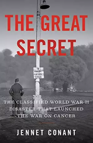 Forskoðunarsmámynd fyrir 'The Great Secret: The Classified World War II Disaster that launched the War on Cancer
