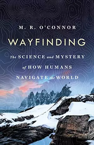 Pratinjau gambar cilik kanggo 'Wayfinding: Ilmu lan Misteri Cara Manungsa Njelajah Donya