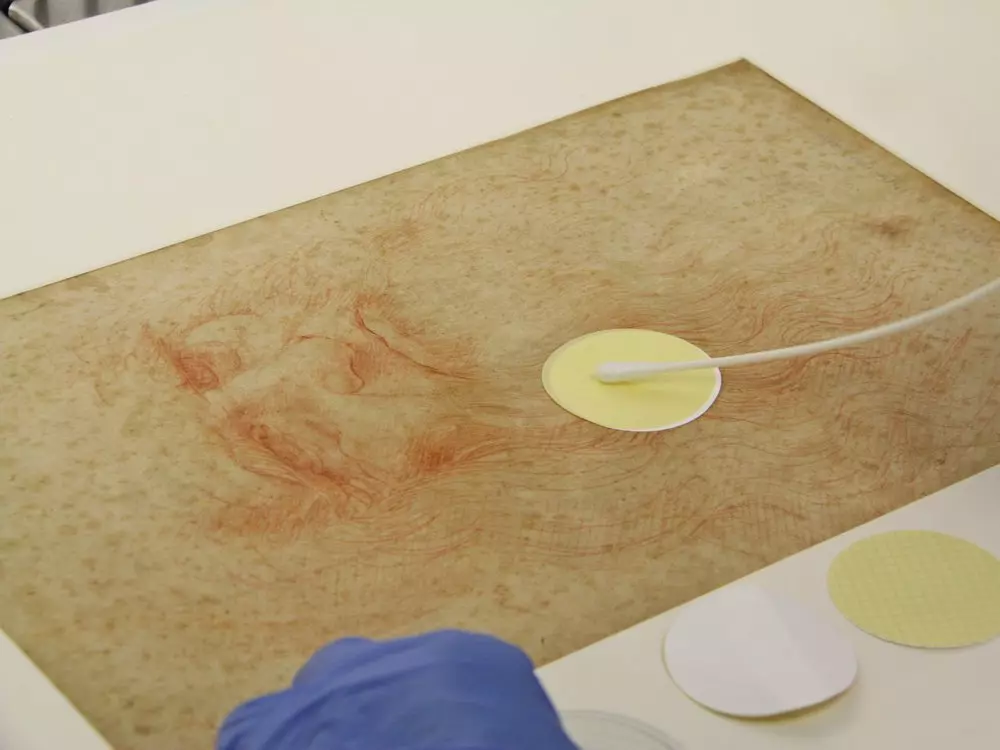Скриени микроби и габи пронајдени на површината на цртежите на Леонардо да Винчи