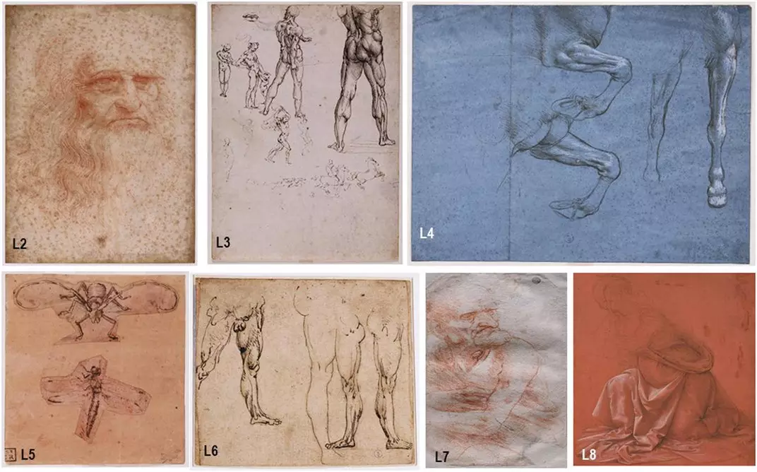 Skjulte mikrober og sopp funnet på overflaten av Leonardo da Vinci-tegninger 10752_3