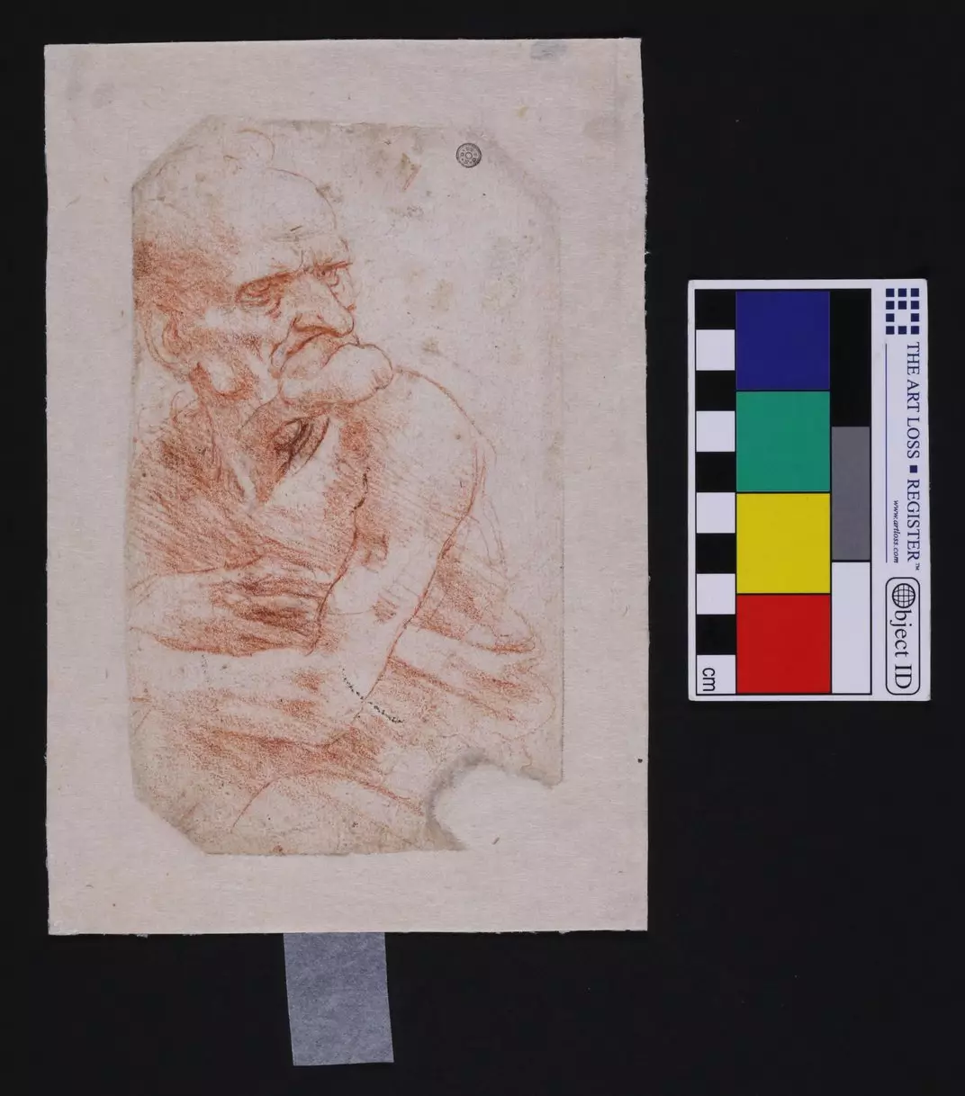 Скриени микроби и габи пронајдени на површината на цртежите на Леонардо да Винчи 10752_4