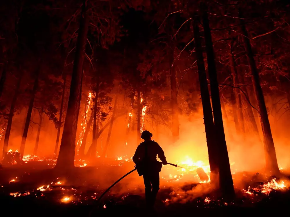 森林在一名消防员的黑色剪影上燃烧
