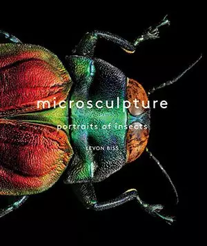 Ongorora thumbnail ye'Microsculpture: Portraits of Insects