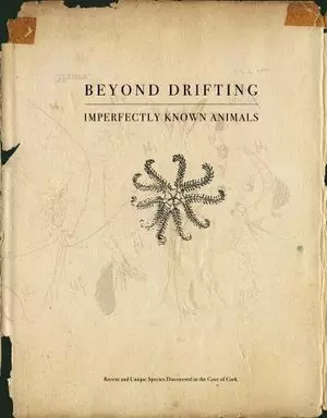 'Beyond Drifting: Төгс бус мэддэг амьтад