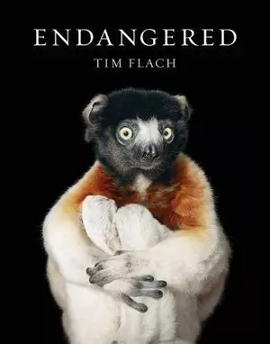 Saib ua ntej thumbnail rau 'Endangered