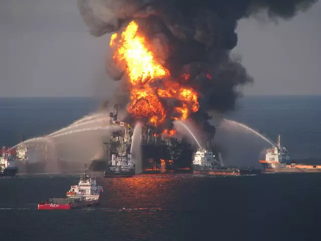 As BP Set om skuldich te pleitsjen foar 2010 Spill, In pear goede nijs fan Gulf Wildlife
