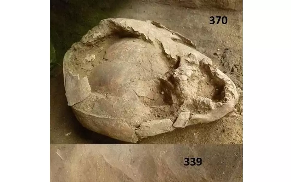 Археологлар бүтән балаларның баш сөягеннән ясалган 'шлемка' кигән сабыйларның калдыклары.