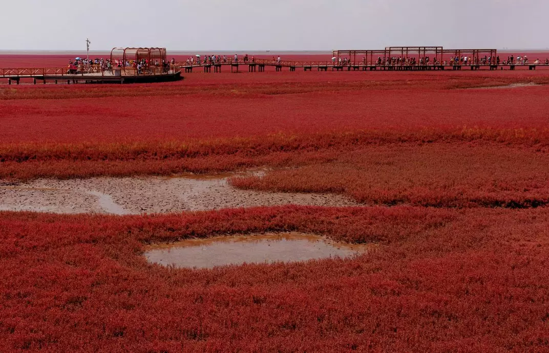 Впие во бојата на плажите во Кина со црвена боја 1093_4