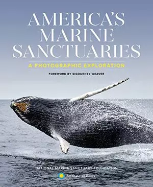 Förhandsgranska miniatyr för "America's Marine Sanctuaries: A Photographic Exploration"