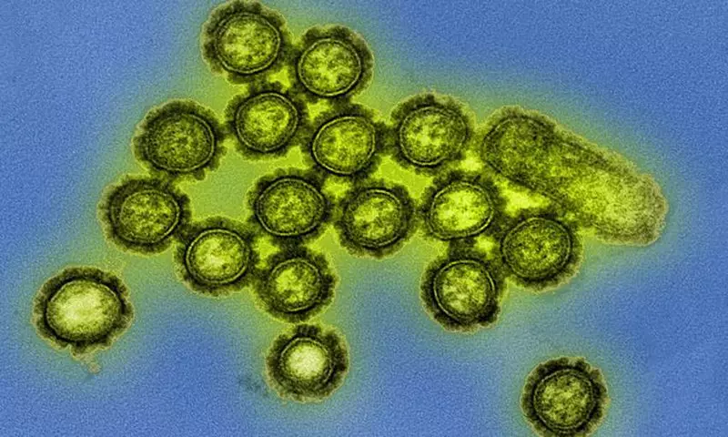 A tudósok egy lépéssel közelebb kerültek a „személyre szabott” influenza elleni oltáshoz