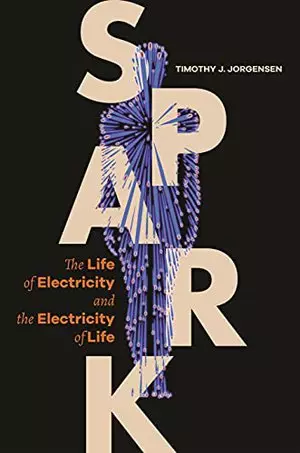 Miniatura de visualização de 'Spark: The Life of Electricity and the Electricity of Life