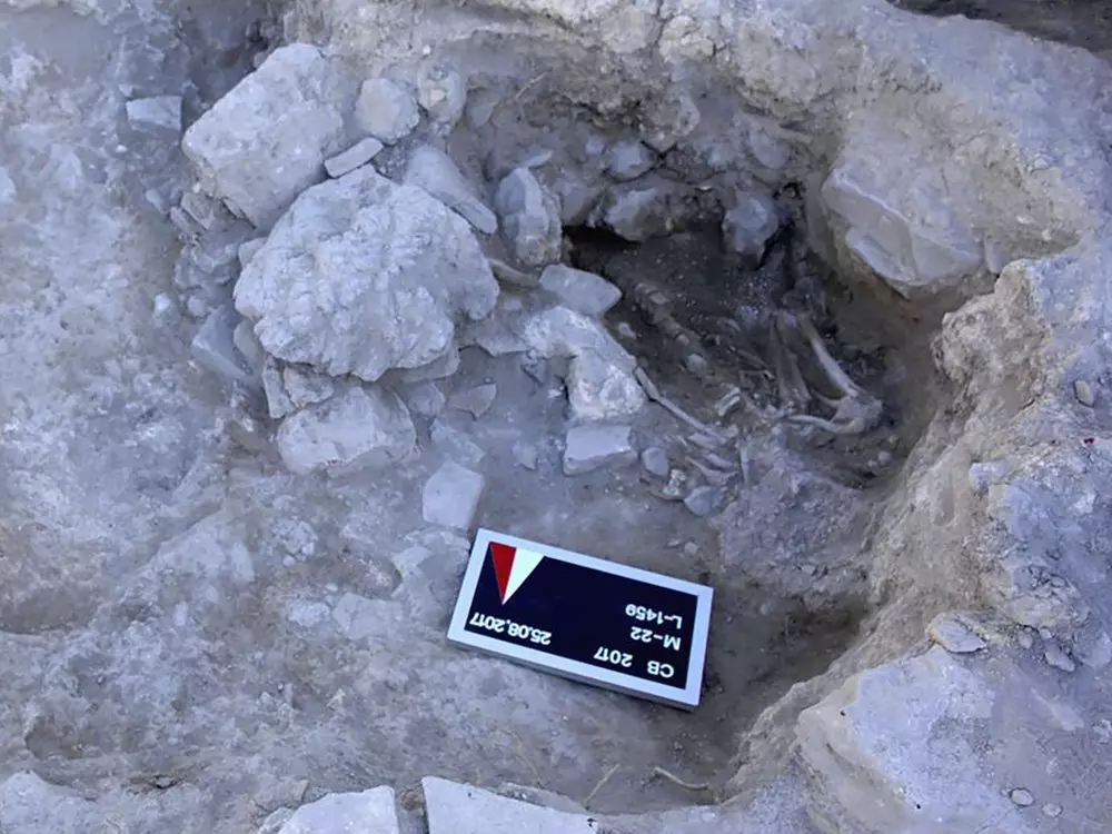 преглед на половина скелет откопан на местото на ископување