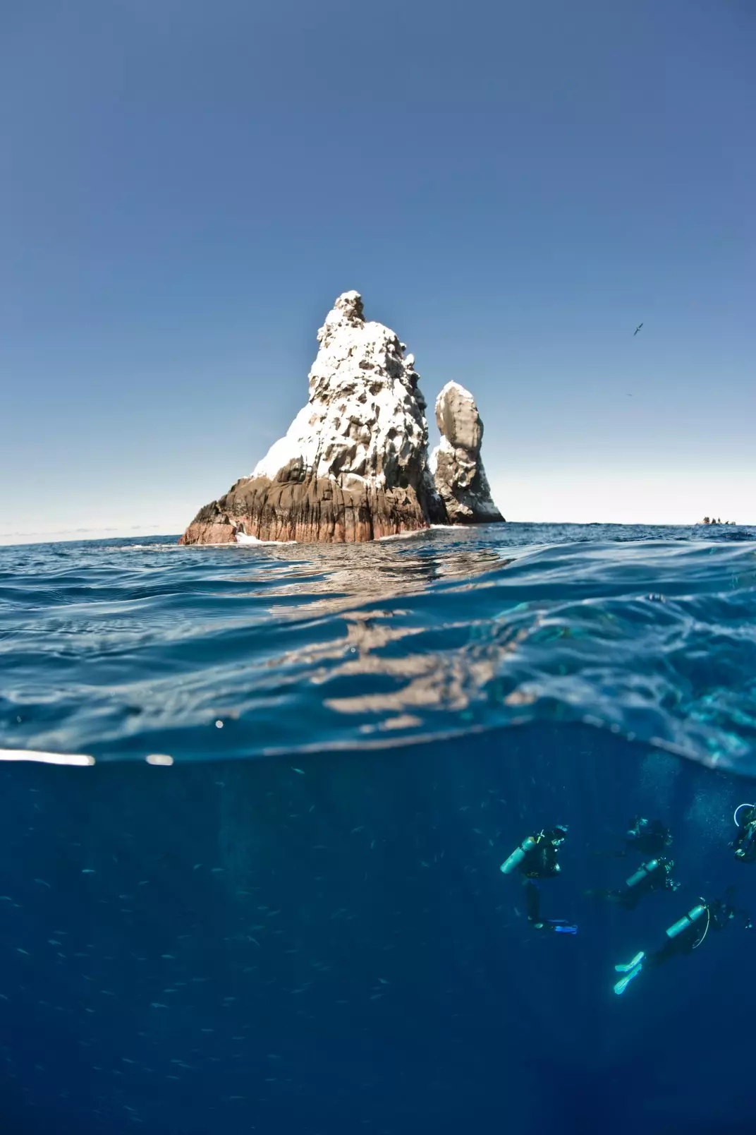 Mexiko Etabléiert gréisste Marine Protected Area an Nordamerika 11070_5