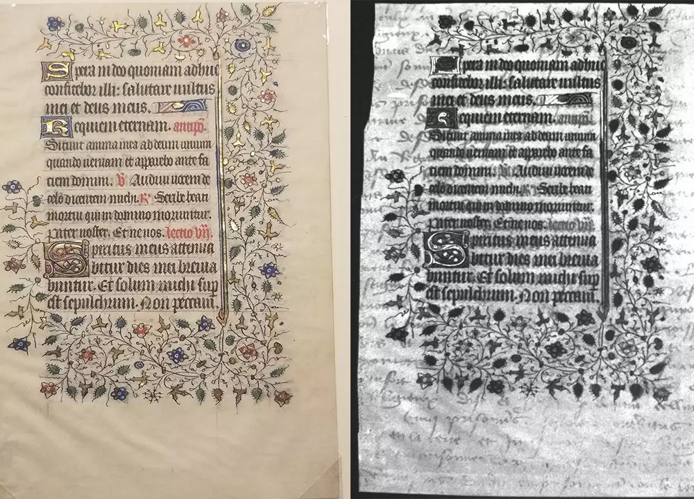 Вляво, цветно илюстрирано изображение на ръкопис; хартията е бледожълт и богато украсен готически текст, заобиколен от бръшлян и цветя; правилно, същият текст е черно-бял със следите от плътен курсивен скрипт, наслоен отдолу