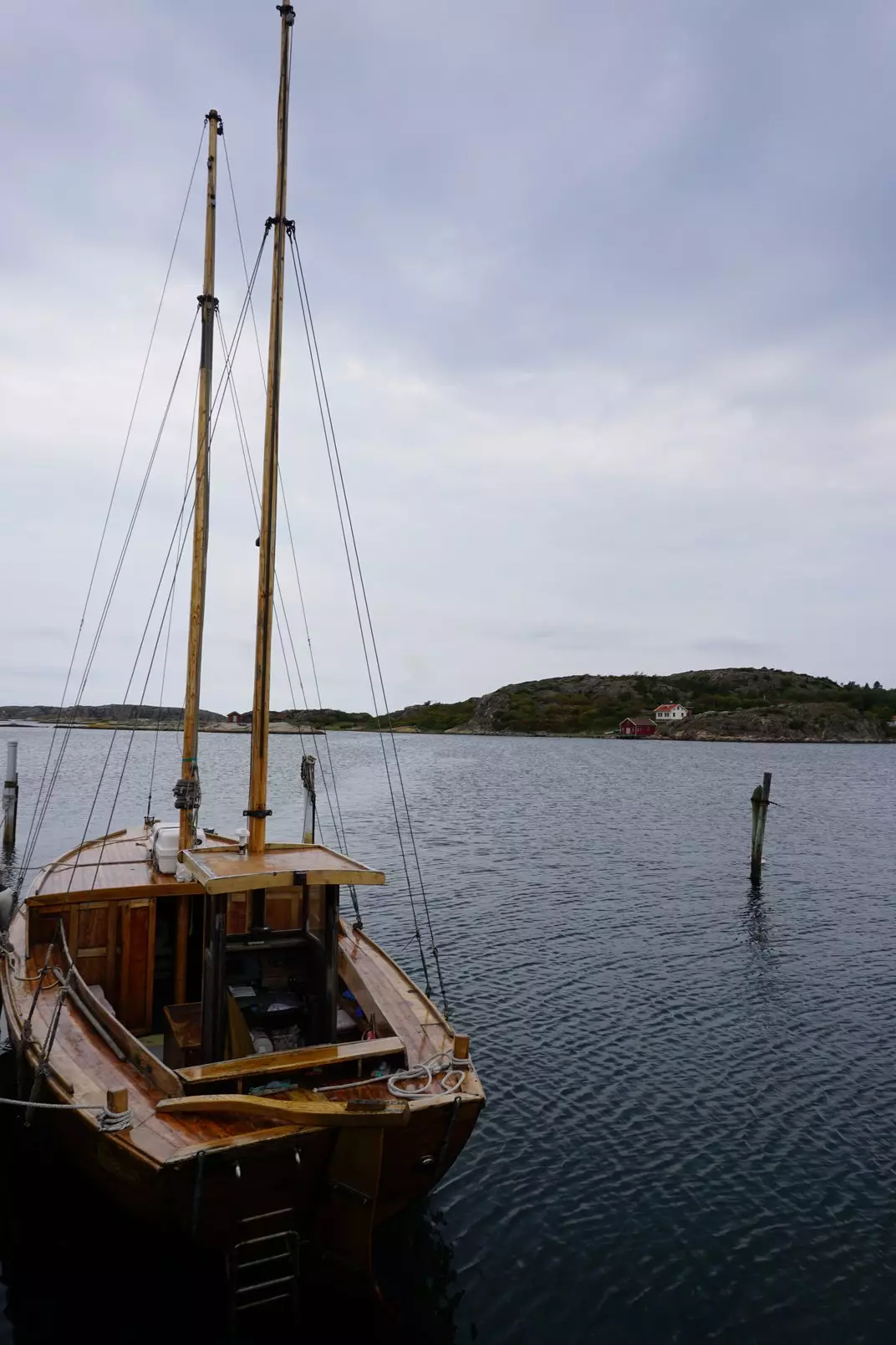 Auf der Suche nach einer der besten Austern der Welt durch Schwedens eisige Meere segeln 11153_1