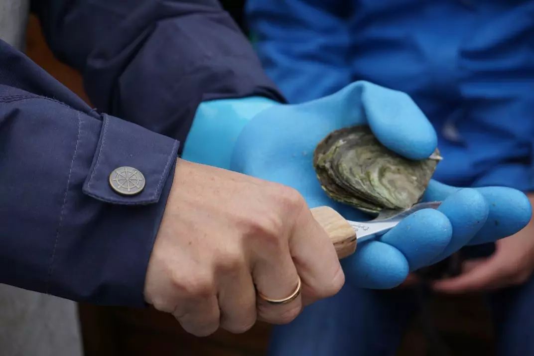 Sailing Sweden's Icy Seas in Search of One of the World's Best Oysters 11153_6