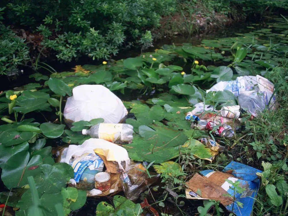 કચરો અને કચરો વેટલેન્ડ વિસ્તારમાં પાણીની લીલીઓ અને માર્શ છોડ વચ્ચે ફેંકવામાં આવે છે