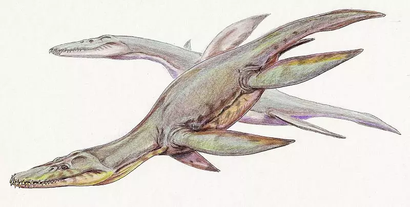 Vzácna kosť pliosaura sedela v britskej búde 16 rokov