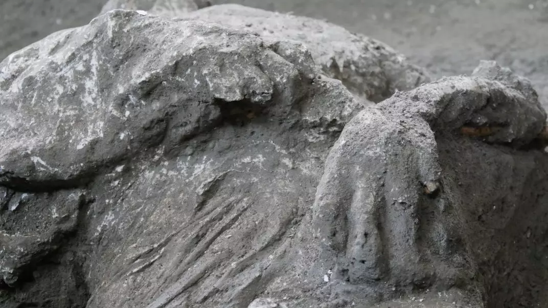 Goed bewarre oerbliuwsels fan twa Vesuvius-slachtoffers fûn yn Pompeii 11333_4