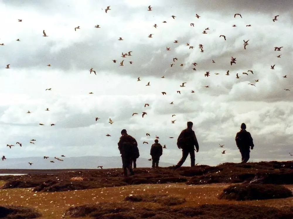 Detarë britanikë në Falklands në 1982